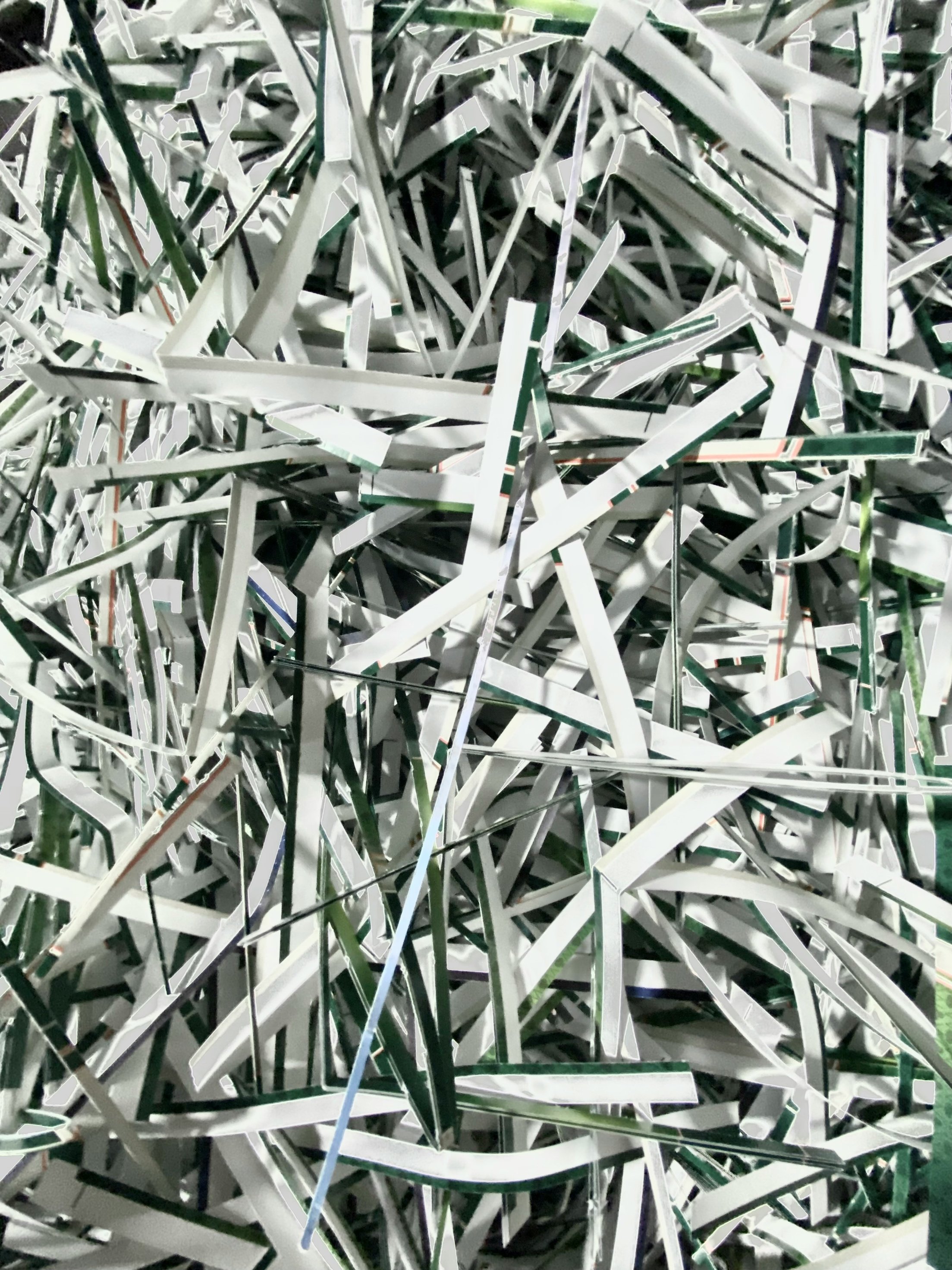 Where Can I Shred Documents? Secure Disposal Explained